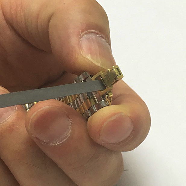 THIN FILE - AMC online store